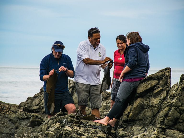 Programmes Overview | Whenua Iti Outdoors