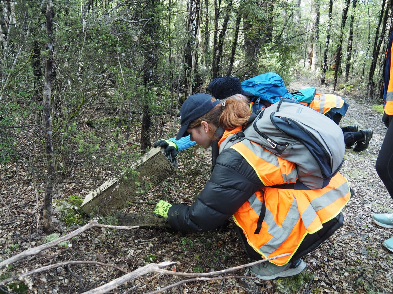 Explore Te Taiao - Whenua Iti Outdoors